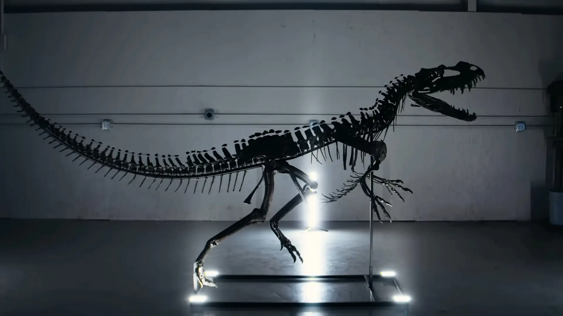 A dinosaur sold for $30 million at auction